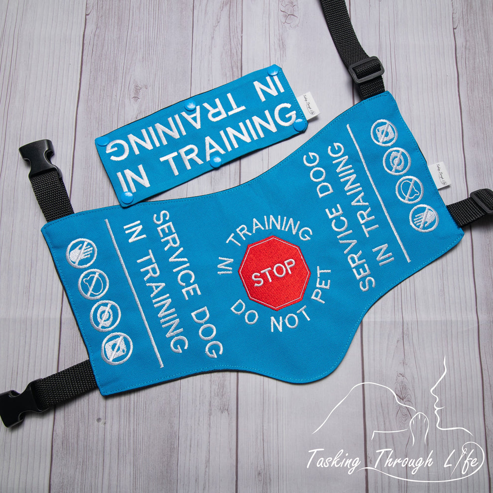 Click her for custom VEST orders - Custom Service Dog Vest, custom ...